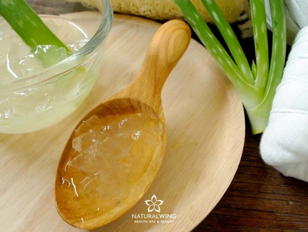 Aloe Vera Body Wrap Natural Wing › Health Spa Samui