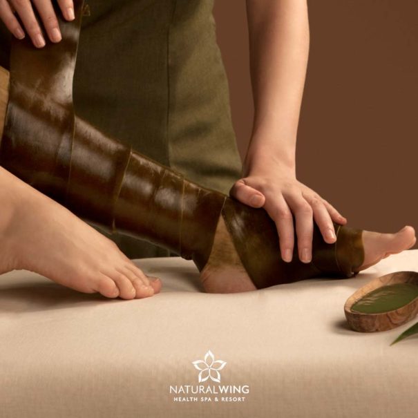 Aloe Vera Body Wrap Natural Wing › Health Spa Samui